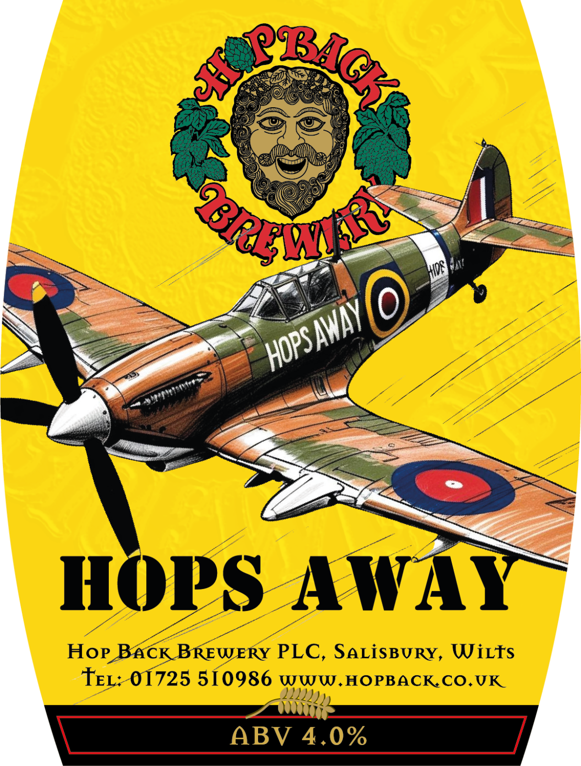 Our Beers | Hop Back Brewery Ales & Award-Winning Brews